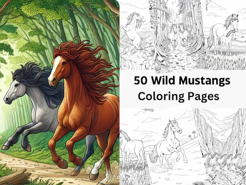 50 Wild Mustangs Coloring Book Wild Horses Coloring Pages Wild Mustang ...