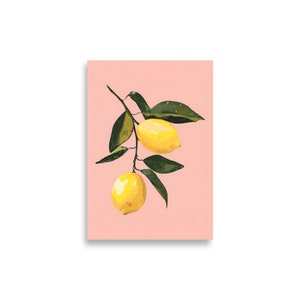 Pink Lemon Poster | Fruit Artwork | Lemon Painting | Minimalist Wall ...
