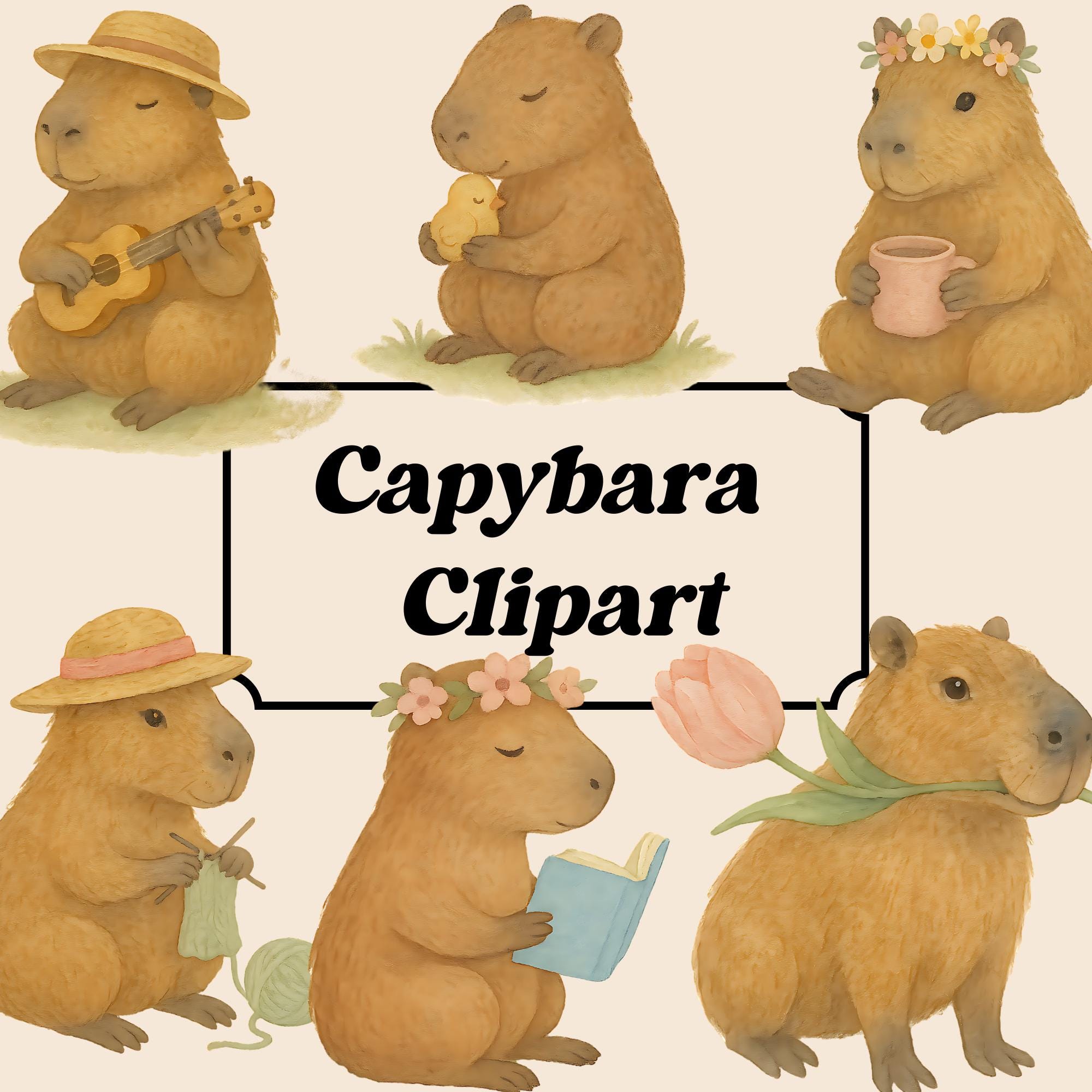 Capybara Clipart, Capybara PNG, Animal Illustrations, Digital Download ...
