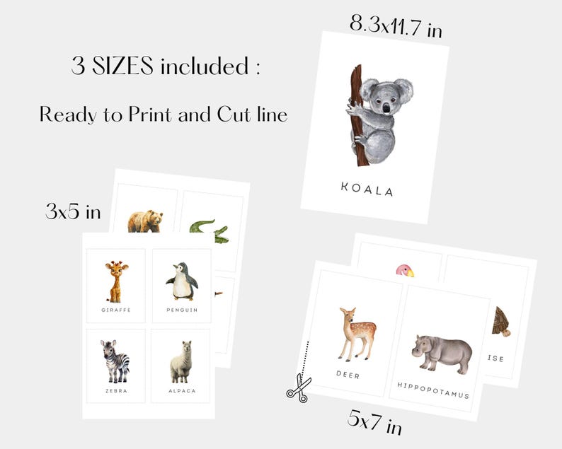 Zoo Animals Flashcards : Safari Cards, Montessori Materials ...