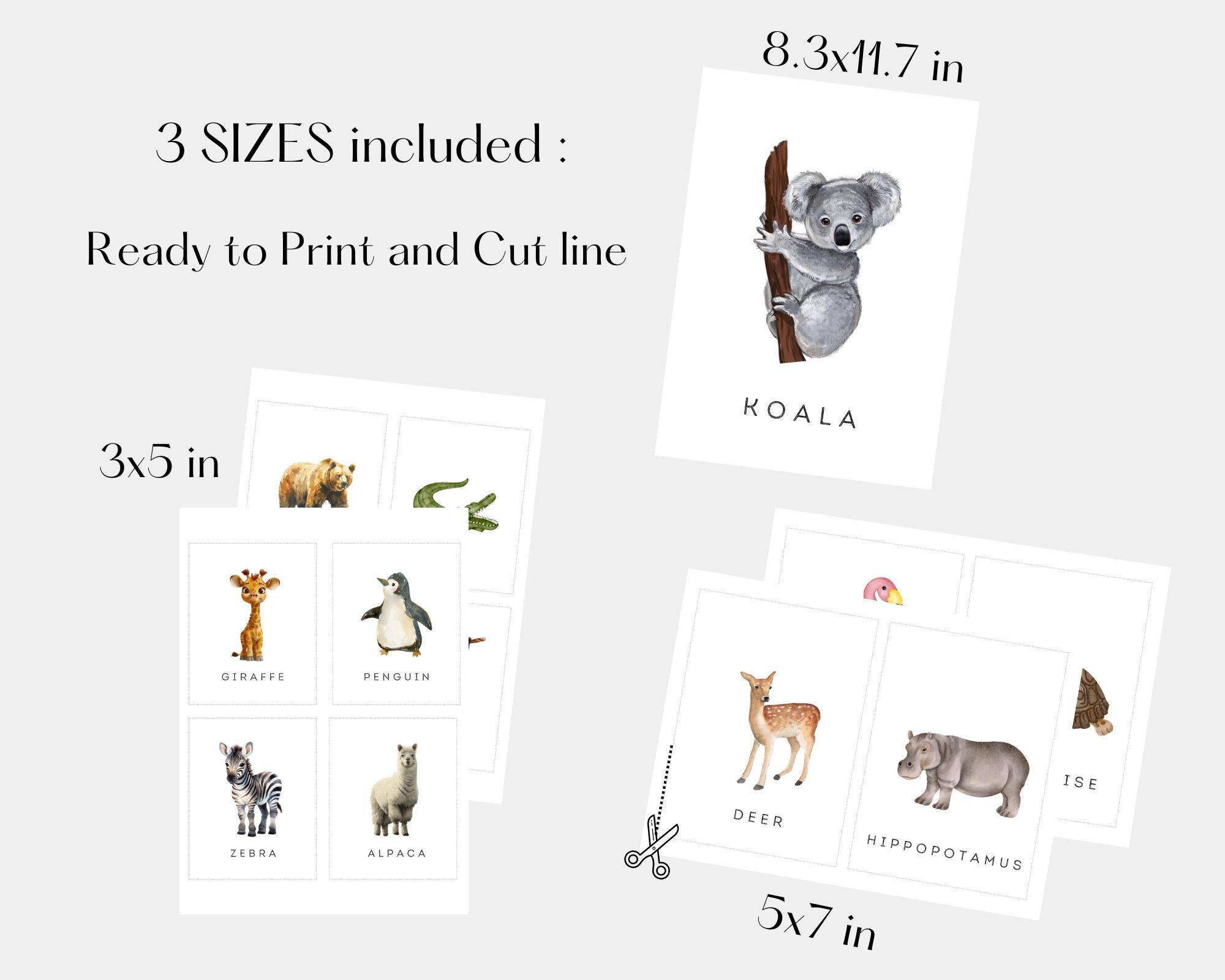 Zoo Animals Flash Cards, Montessori Toddler, Safari Animals ...