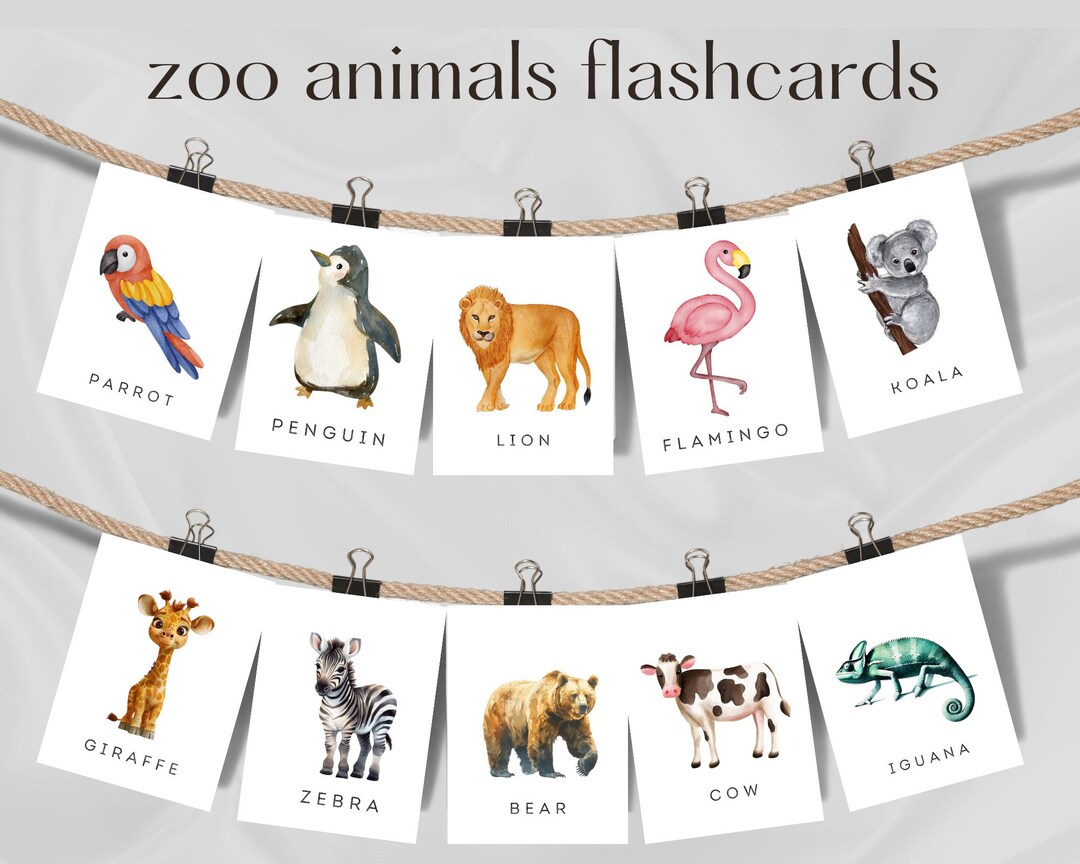Zoo Animal Flash Cards Printable for Kids, Watercolor Animals Learning ...
