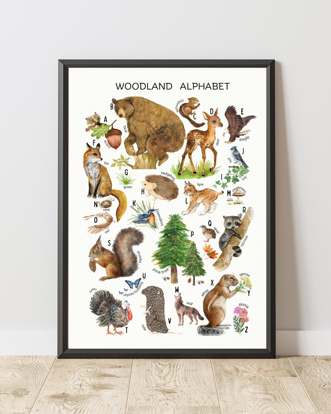 Woodland Alphabet Poster | Forest Animals A–Z Print | Educational ...