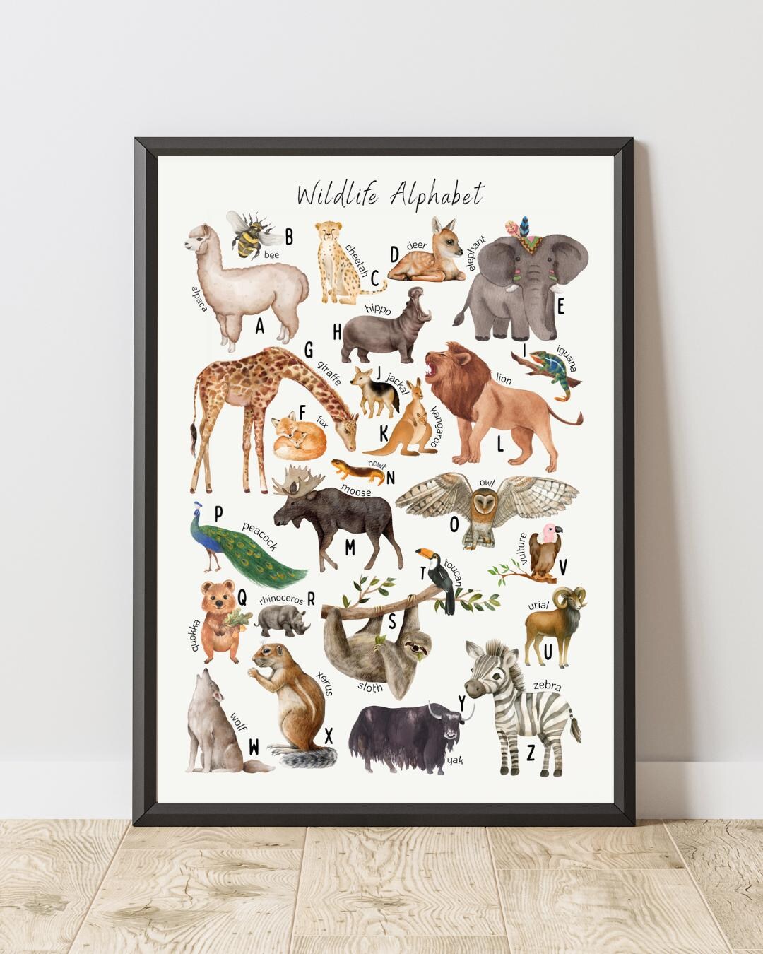 Wildlife Alphabet Poster A–Z Animals Around the World | Educational ...