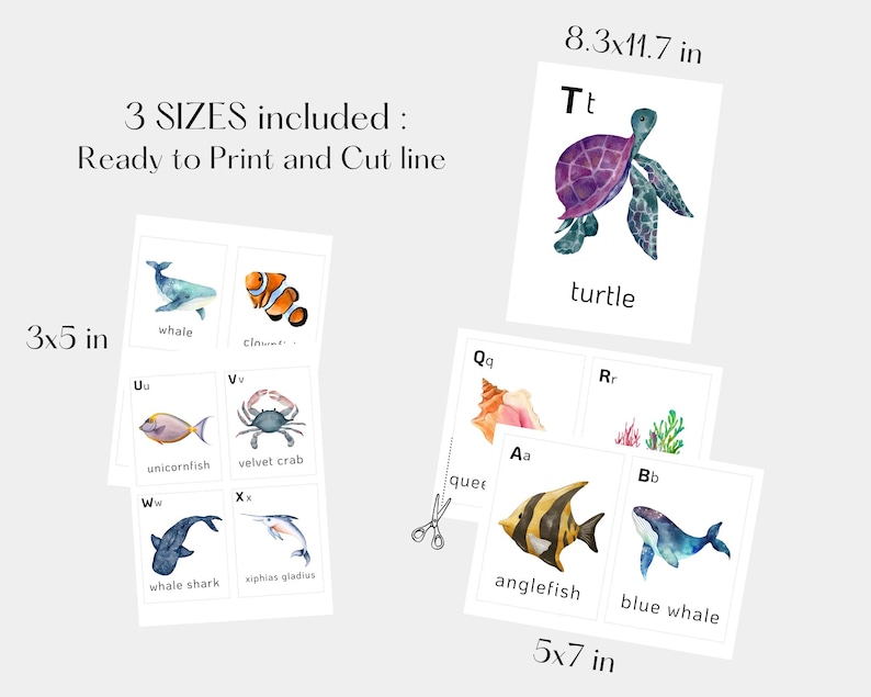 Ocean Alphabet Flashcards | Printable Learning,sea Animal ABC Cards for ...