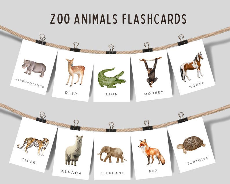 Zoo Animals Flashcards : Safari Cards, Montessori Materials ...