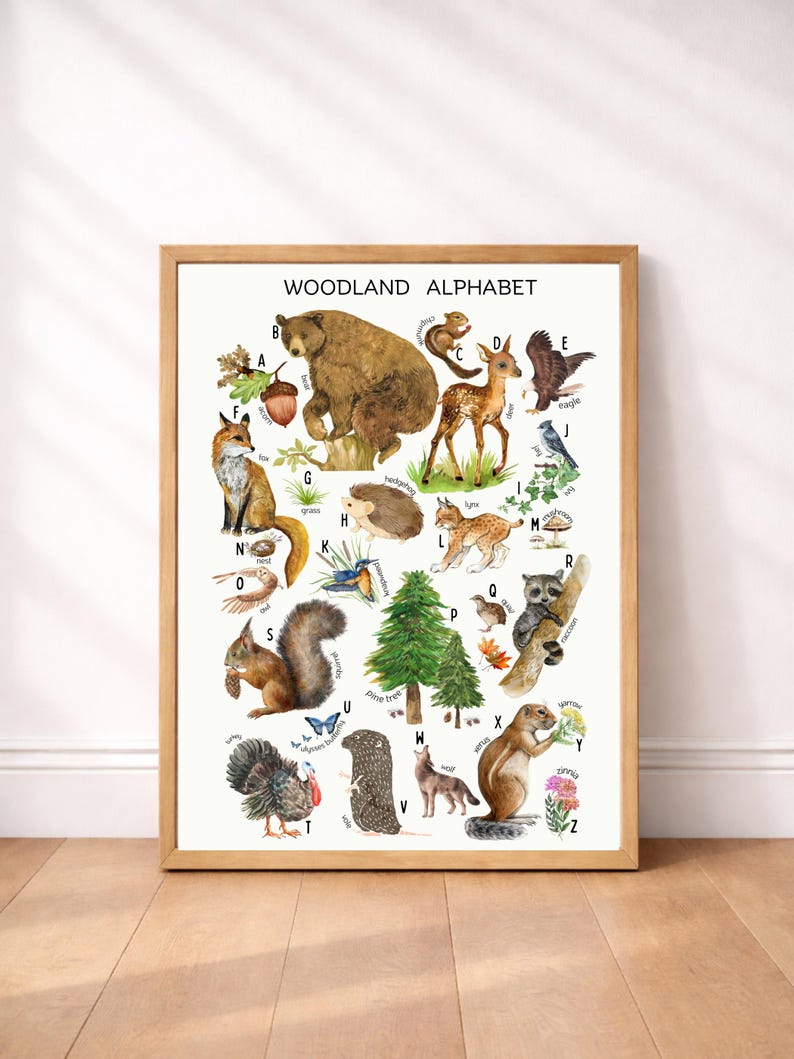 Woodland Alphabet Poster | Forest Animals A–Z Print | Educational ...