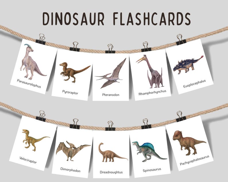 Dinosaur Flashcards | Printable Learning Cards 24 Prehistoric Dino for ...