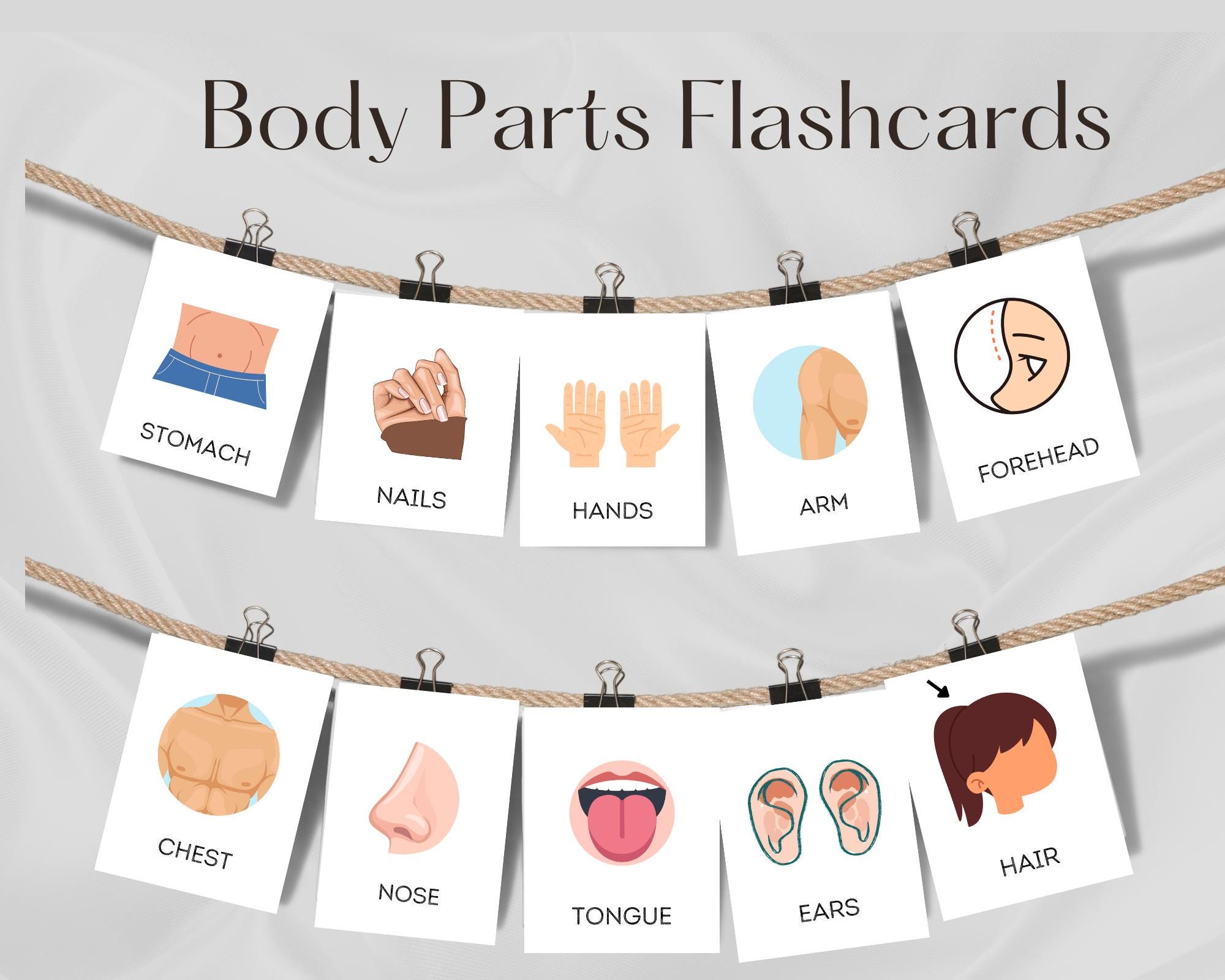 24 Body Parts Flashcards, Montessori Education, Preschool Learning ...
