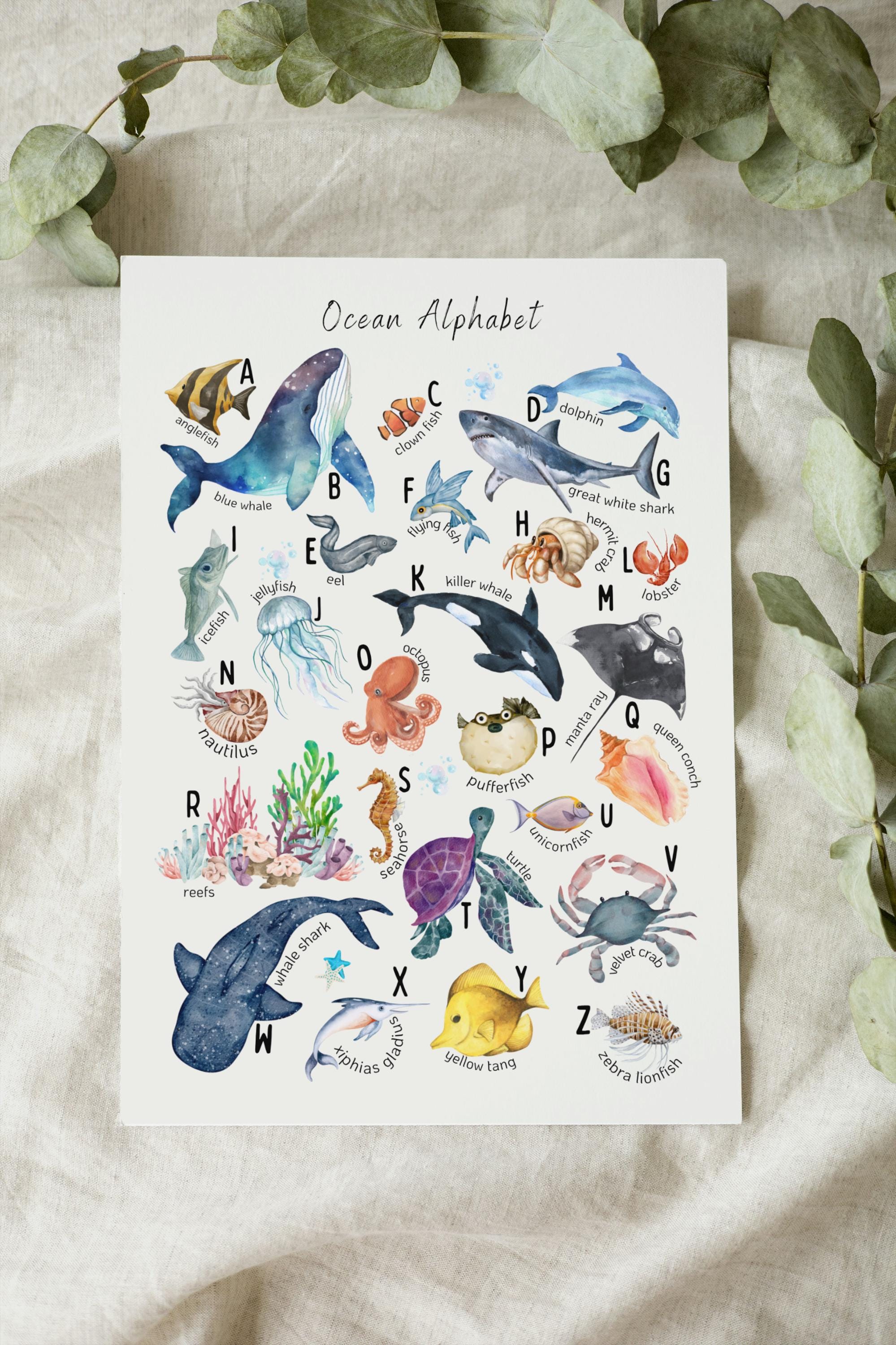 Ocean Alphabet Poster | Watercolor Sea Animal ABC Print | Educational ...