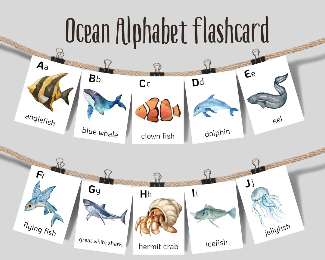 Ocean Alphabet Flashcards | Printable Learning,sea Animal ABC Cards for ...