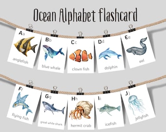Ocean Alphabet Flashcards | Printable Learning,sea Animal ABC Cards for ...