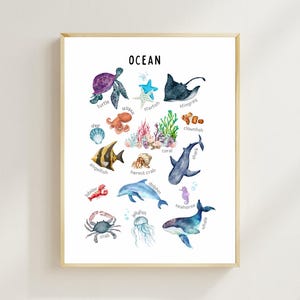 Ocean Animals Print | Printable Sea Creatures Poster for Kids Room ...