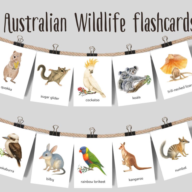 Native Birds of Australia - Etsy