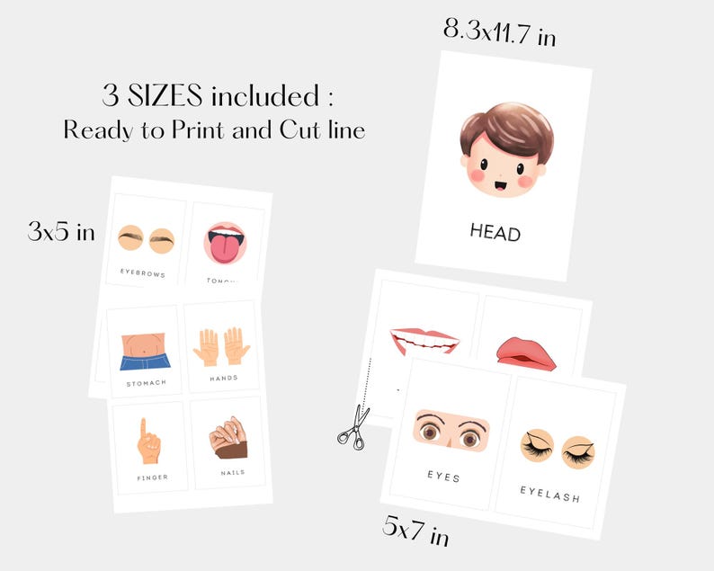 24 Body Parts Flashcards, Montessori Education, Preschool Learning ...