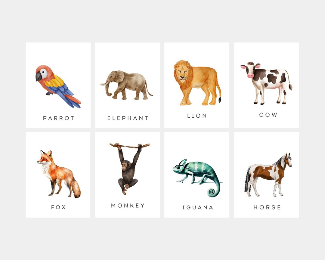 20 Zoo Animals Flash Cards, Montessori Toddler, Safari Animals ...
