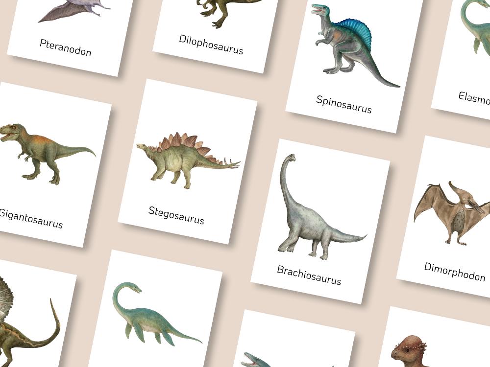 Dinosaur Flashcards | Printable Learning Cards 24 Prehistoric Dino for ...