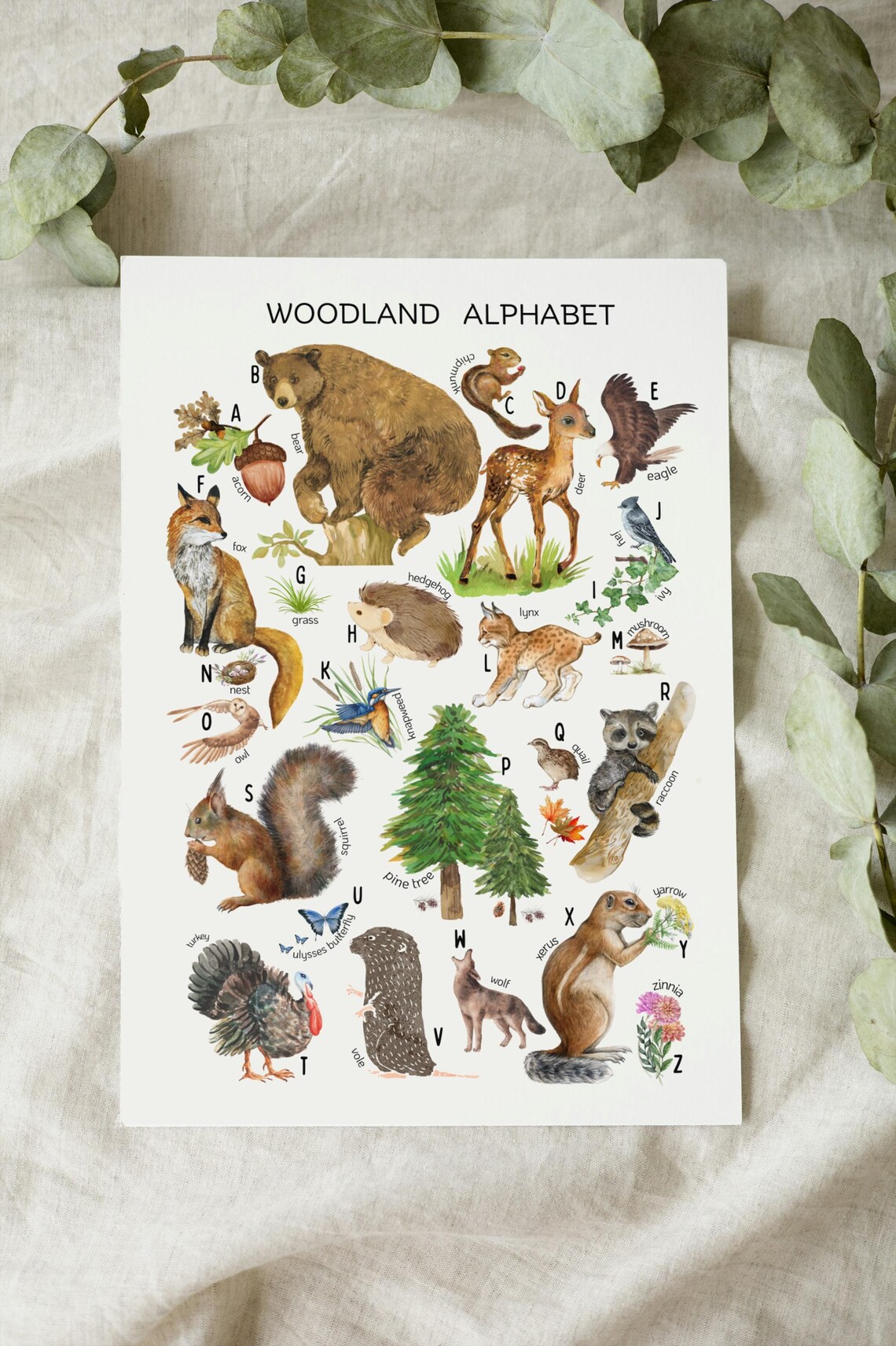 Woodland Alphabet Poster | Forest Animals A–Z Print | Educational ...