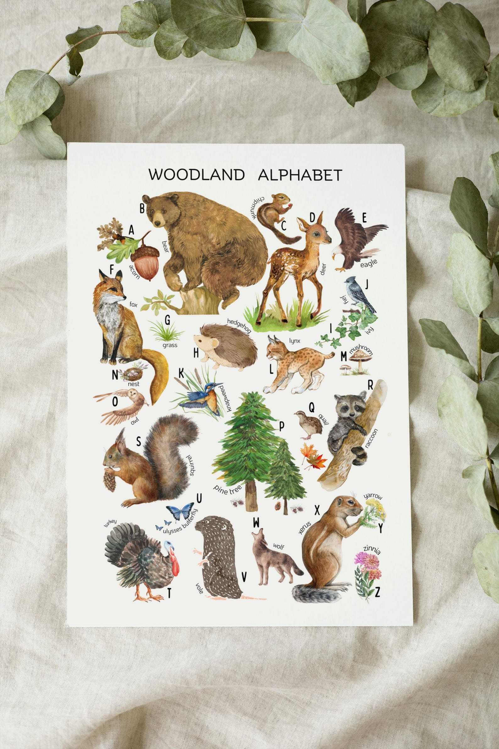 Woodland Alphabet Poster | Forest Animals A–Z Print | Educational ...