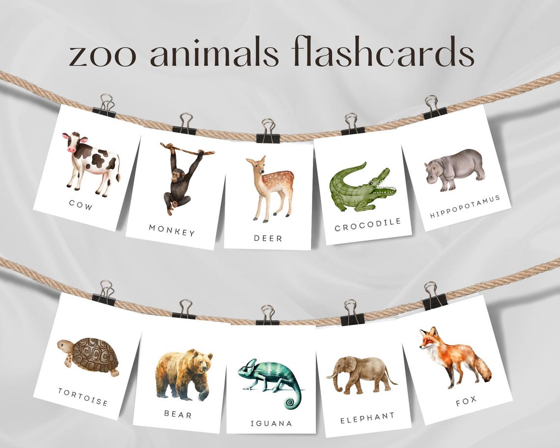 Zoo Animals Flash Cards, Montessori Toddler, Safari Animals ...