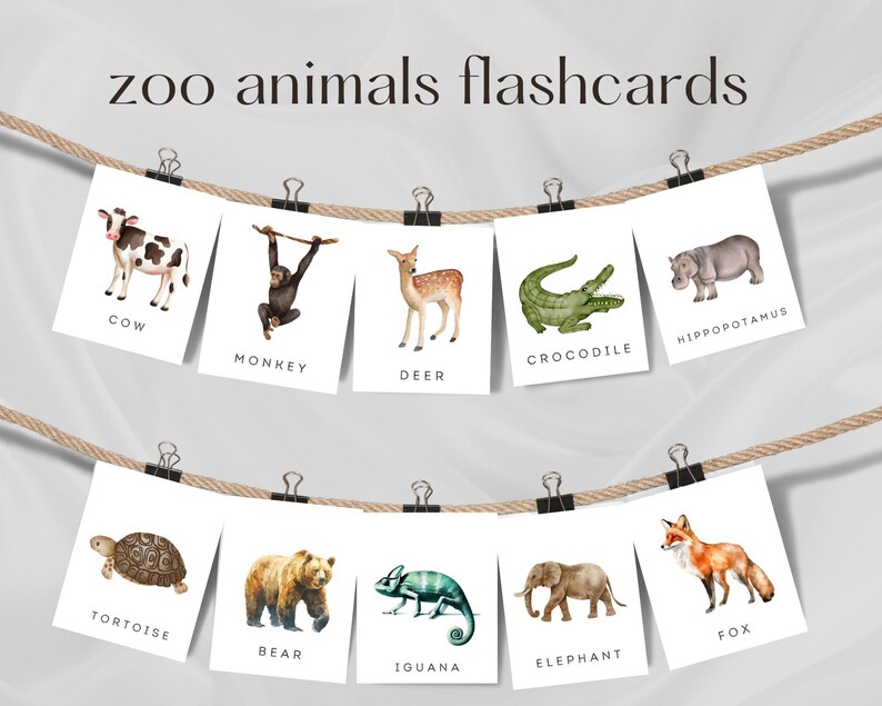 Zoo Animals Flash Cards, Montessori Toddler, Safari Animals ...