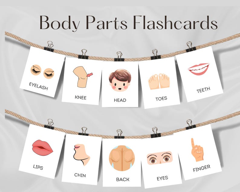 24 Body Parts Flashcards, Montessori Education, Preschool Learning ...