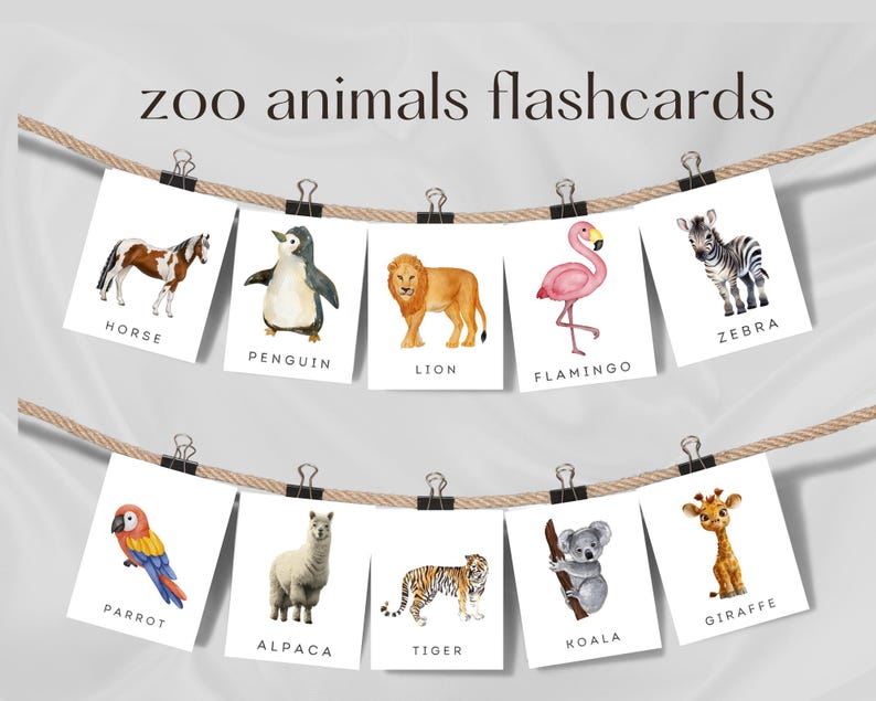 Zoo Animals Flash Cards, Montessori Toddler, Safari Animals ...
