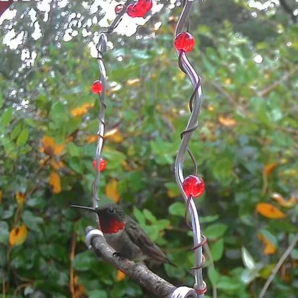 Hummingbird Swing - Etsy