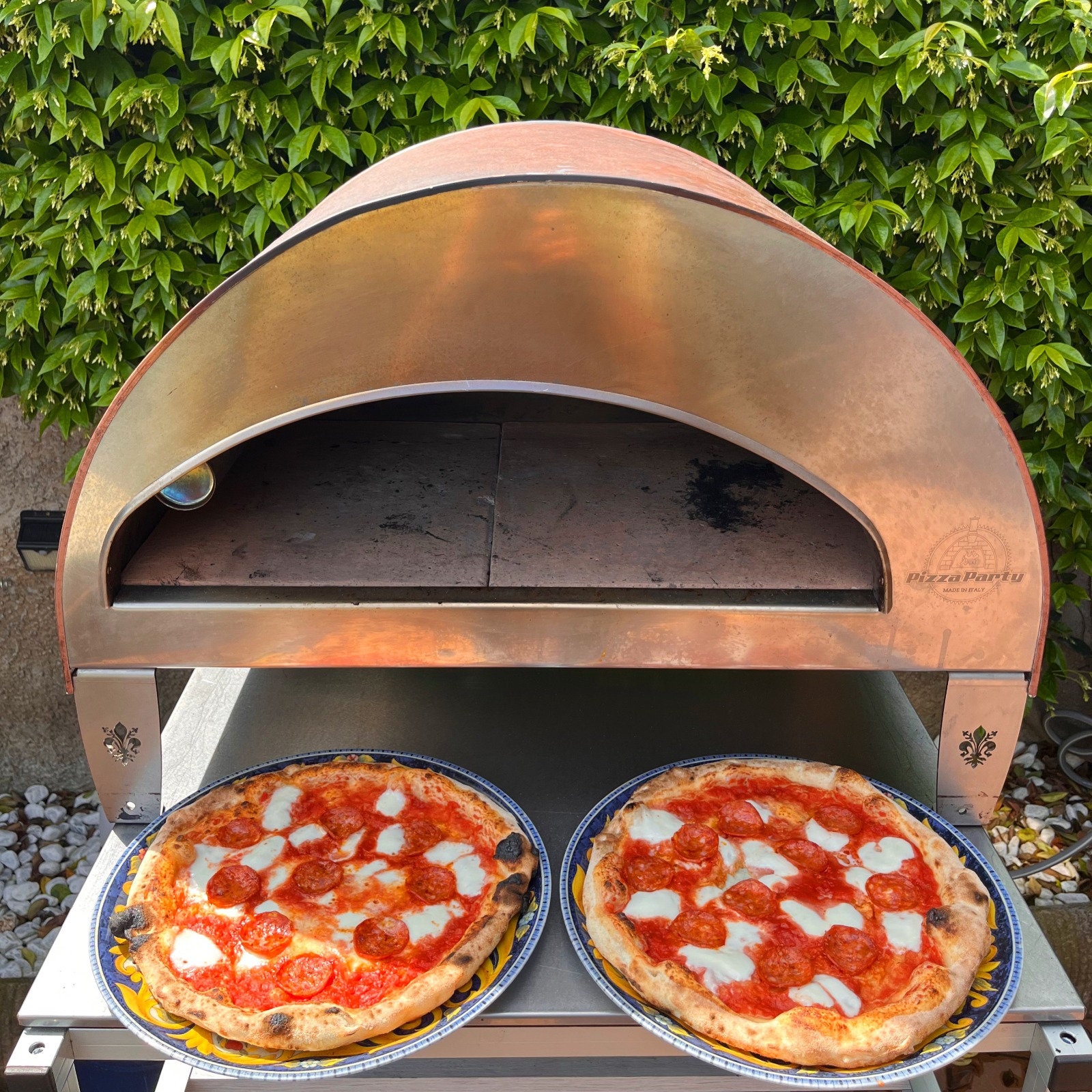 Pizza Party Italy Emozione Outdoor Propane, Gas, LPG Pizza Oven Cooker ...