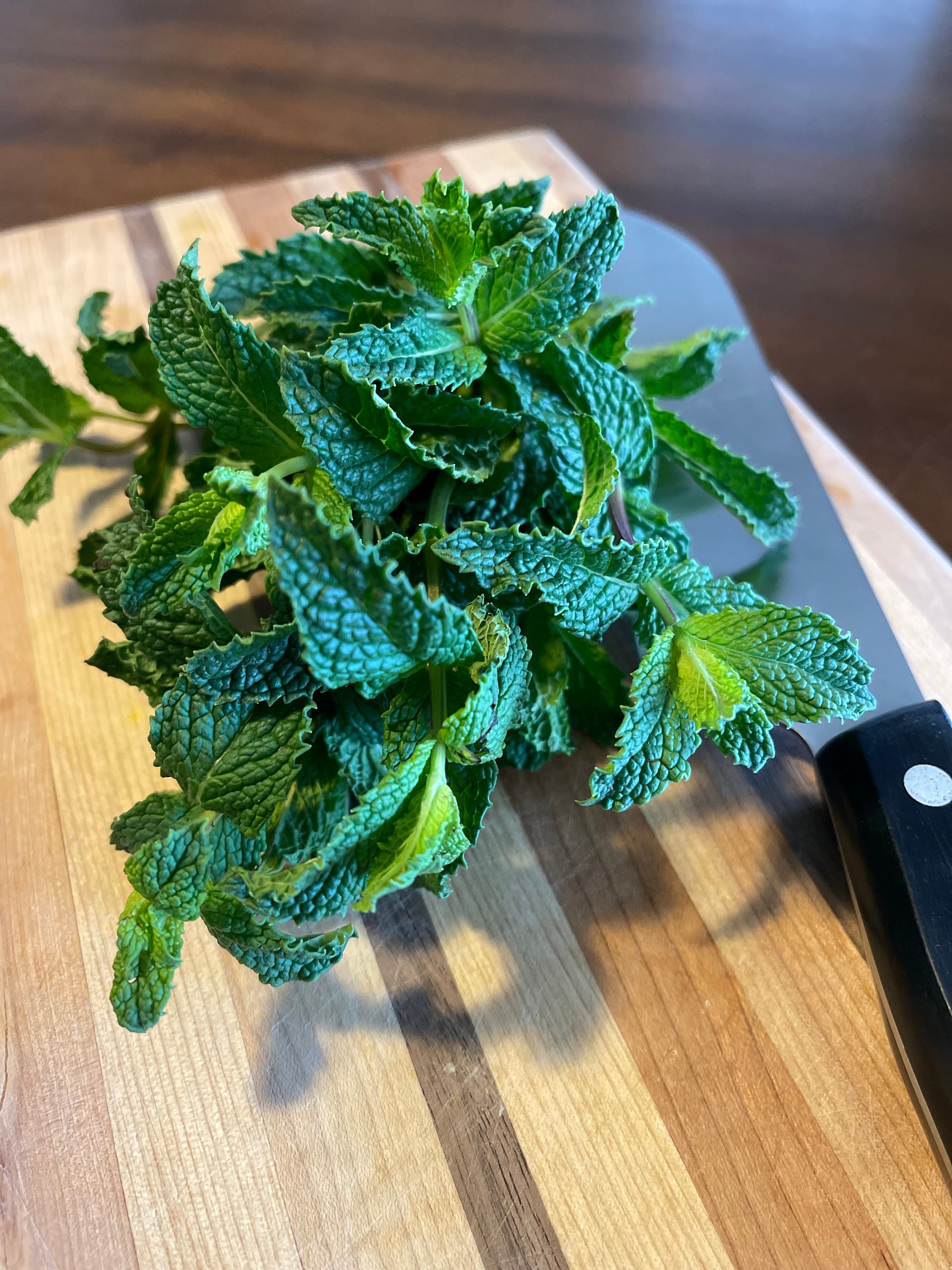 MOJITO LIME & MINT Cold Process Soap - Etsy