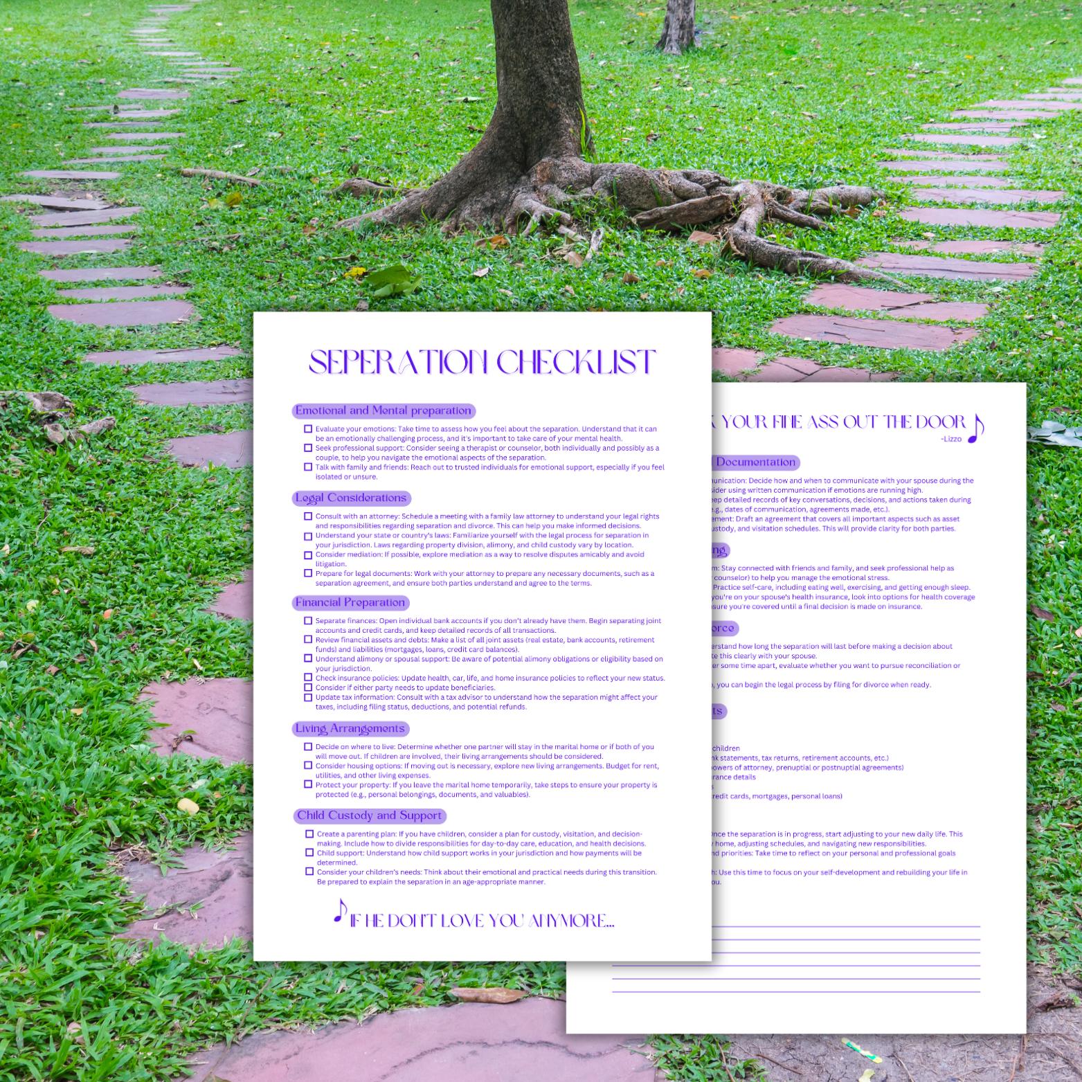 Divorce Checklist, Seperation Checklist, Divorce Paperwork, Disclosure ...