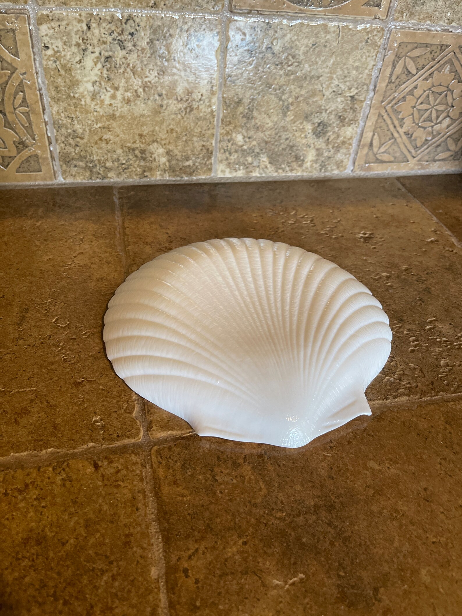 Arcoroc Coquillage Milk Glass Shell Plate Set (11) - Etsy