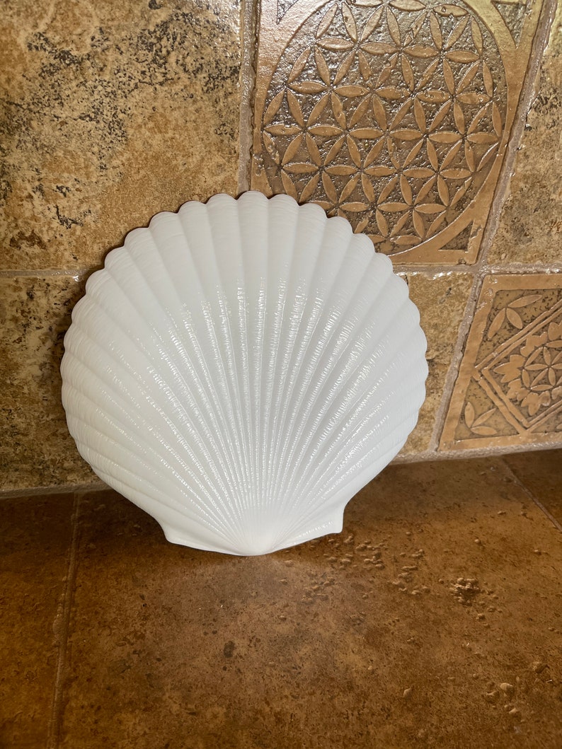 Arcoroc Coquillage Milk Glass Shell Plate Set (11) - Etsy