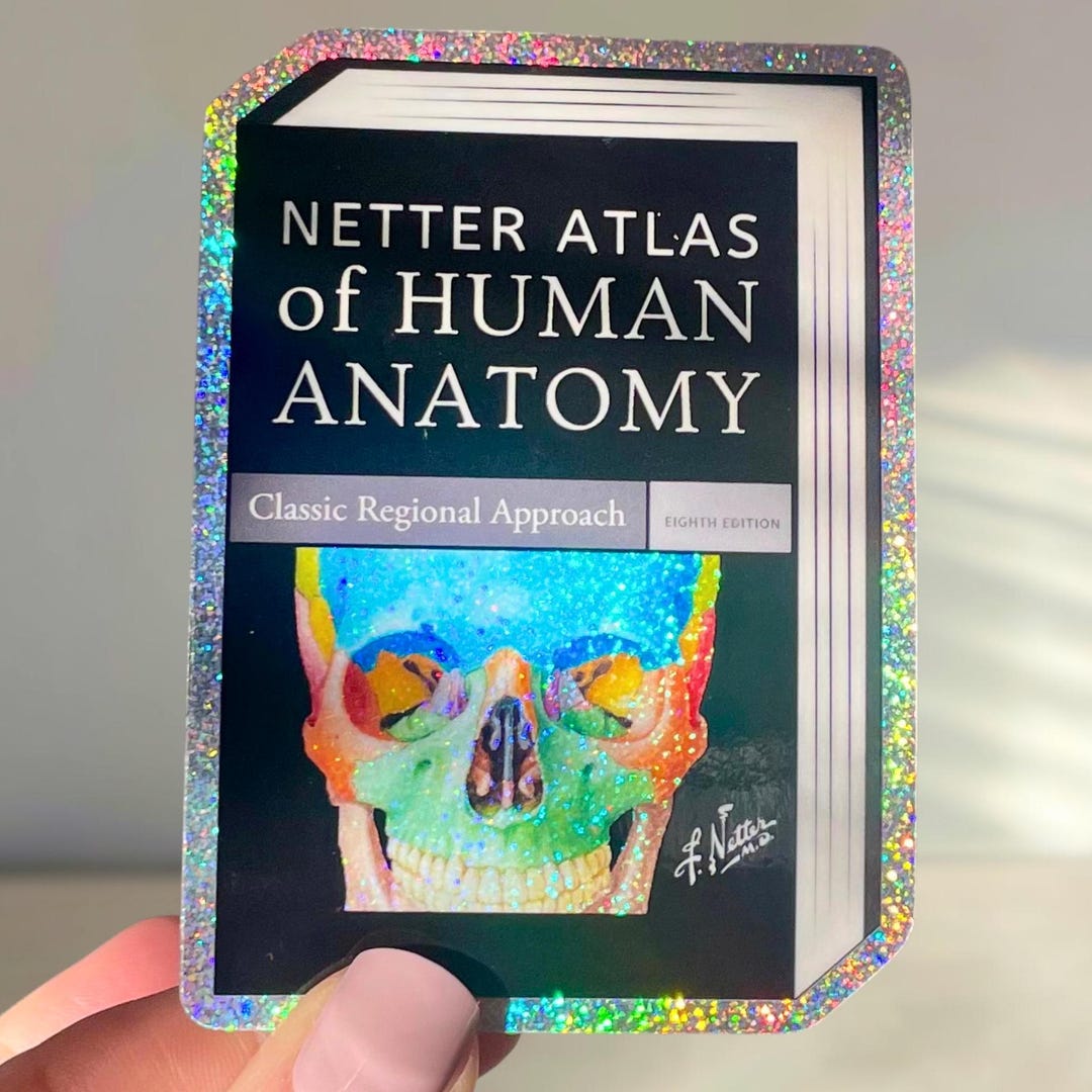 Med Student Anatomy Sticker Gift For Premed Professor Medical School