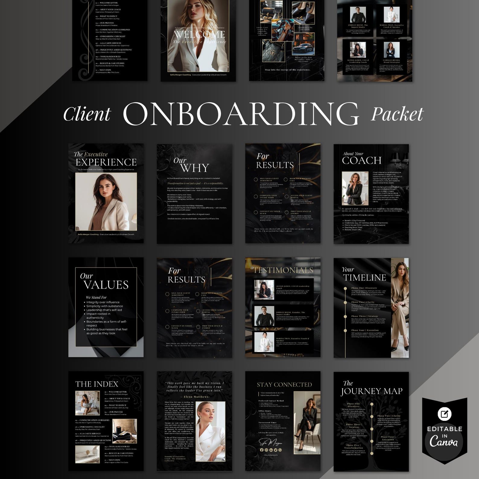 Executive Client Welcome Packet Canva Template: Luxury Coaching ...