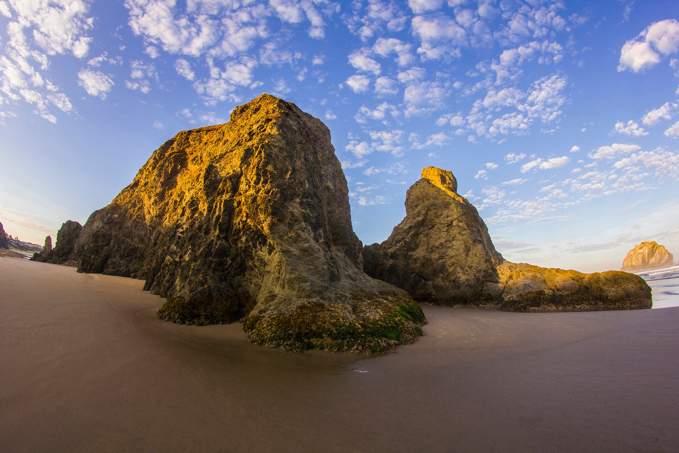 Bandon Beach Elephant Rock Oregon Coast Prints, Bandon Beach, Oregon ...