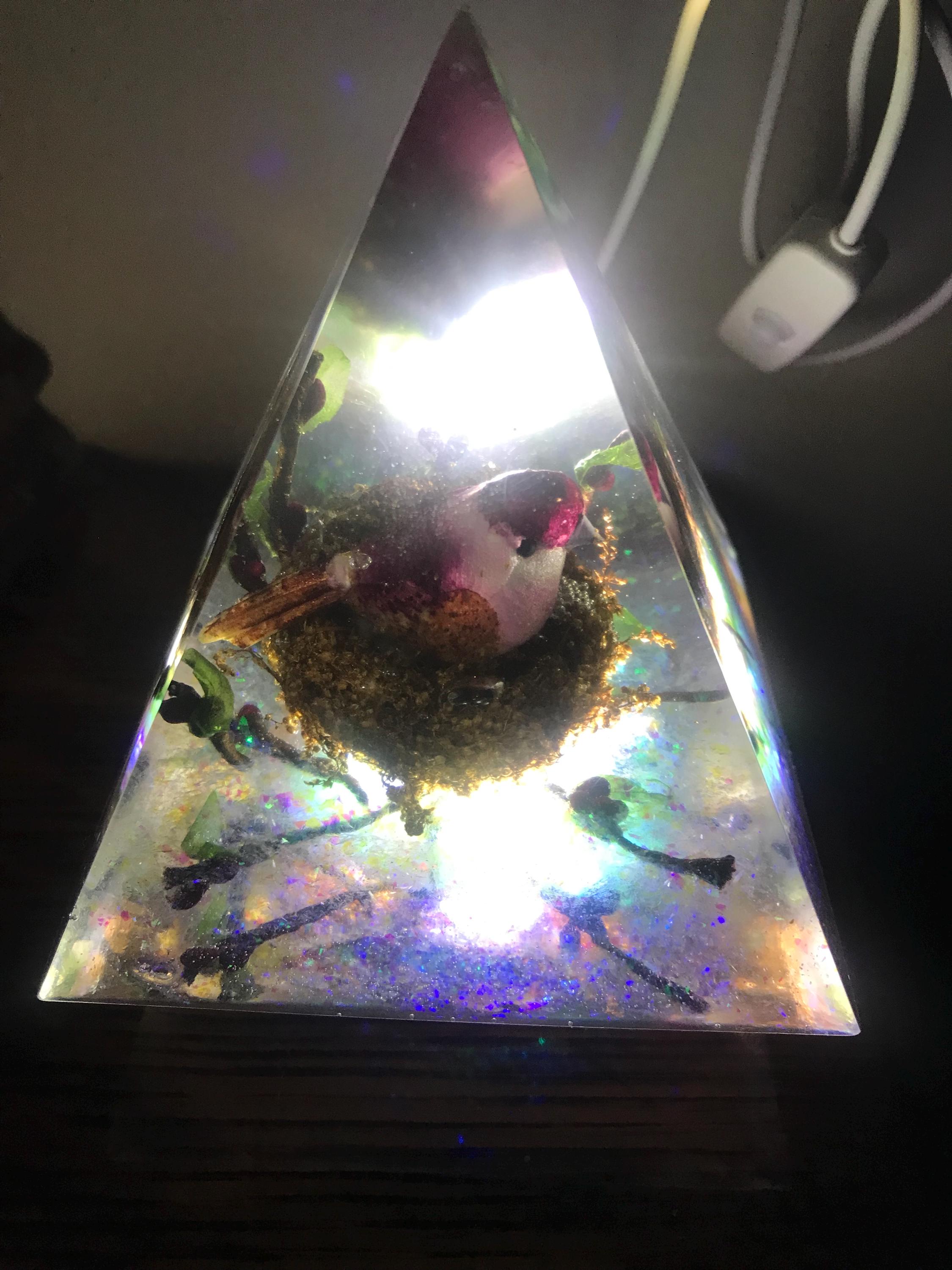 Lighted Epoxy Resin Pyramid With Red Bird on a Nest Nightlight - Etsy