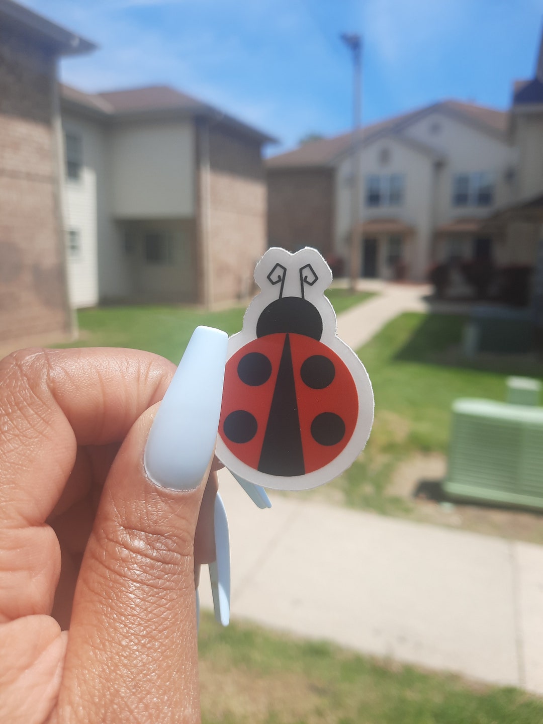 Cute Ladybug transparent Sticker - Etsy