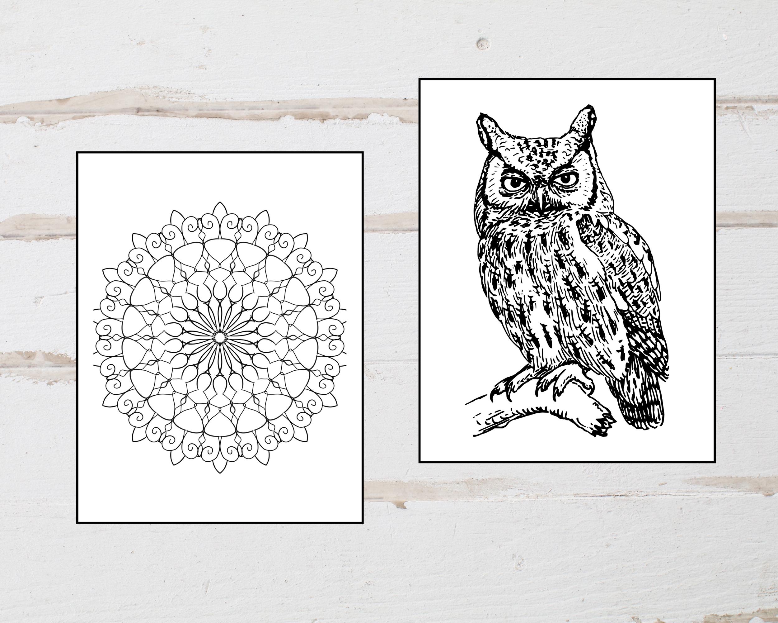 Fall, Halloween, Coloring Pages, Kids Coloring Pages, Printable ...