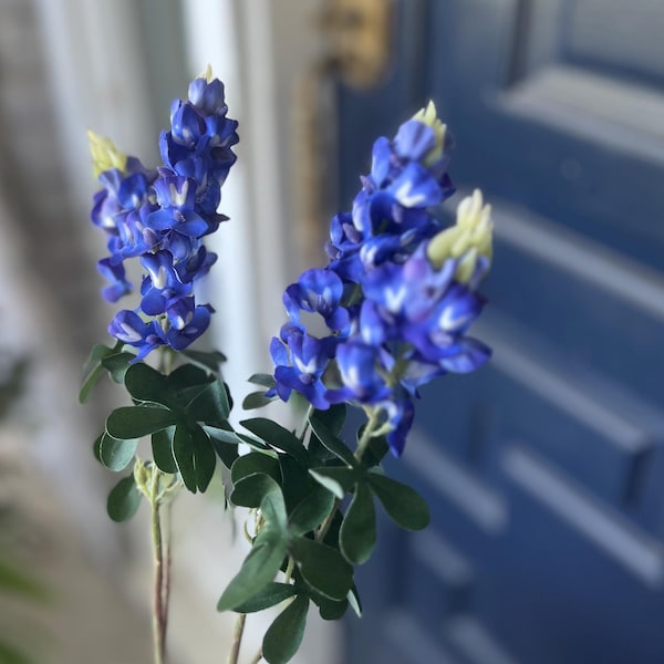 Bluebonnet Fabric - Etsy