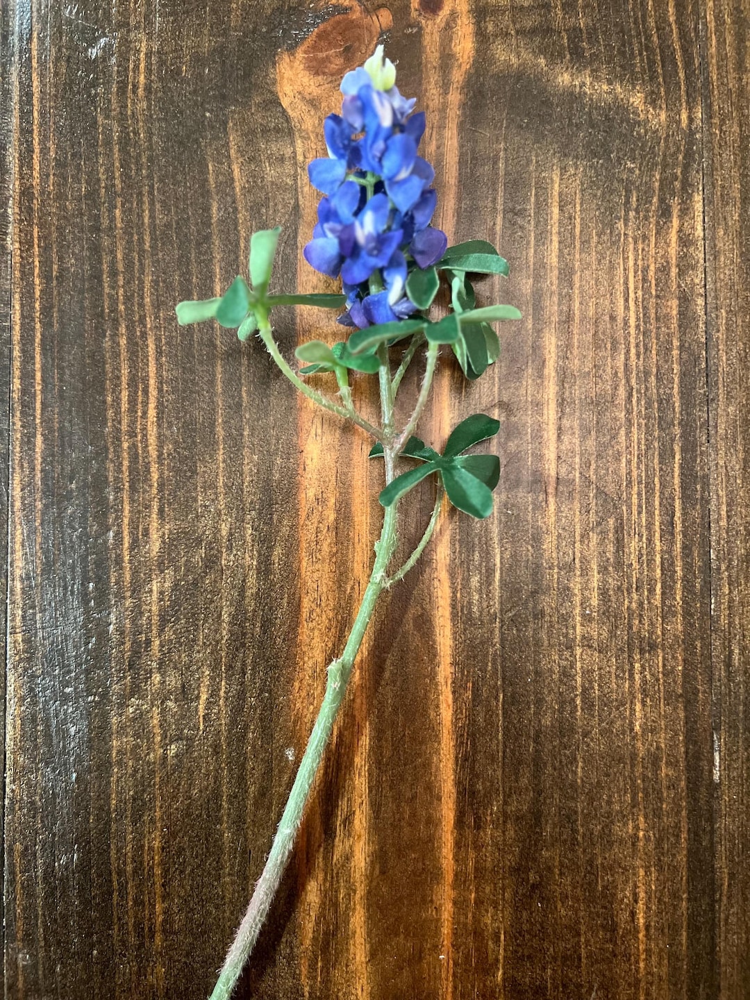 Faux Bluebonnet Stem 14 Inch With 1 3-inch Blossom Head Realistic Navy ...