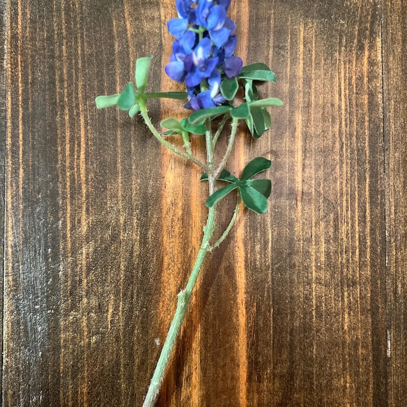 Bluebonnet Fabric - Etsy