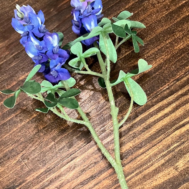 Bluebonnet Fabric - Etsy