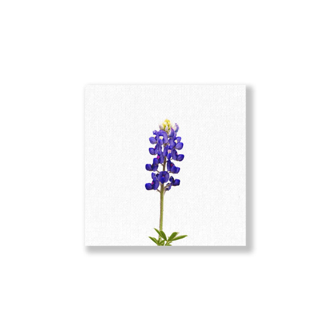 Texas Bluebonnet Cutout Canvas Wall Art, Blue Spring Flower, Nature ...