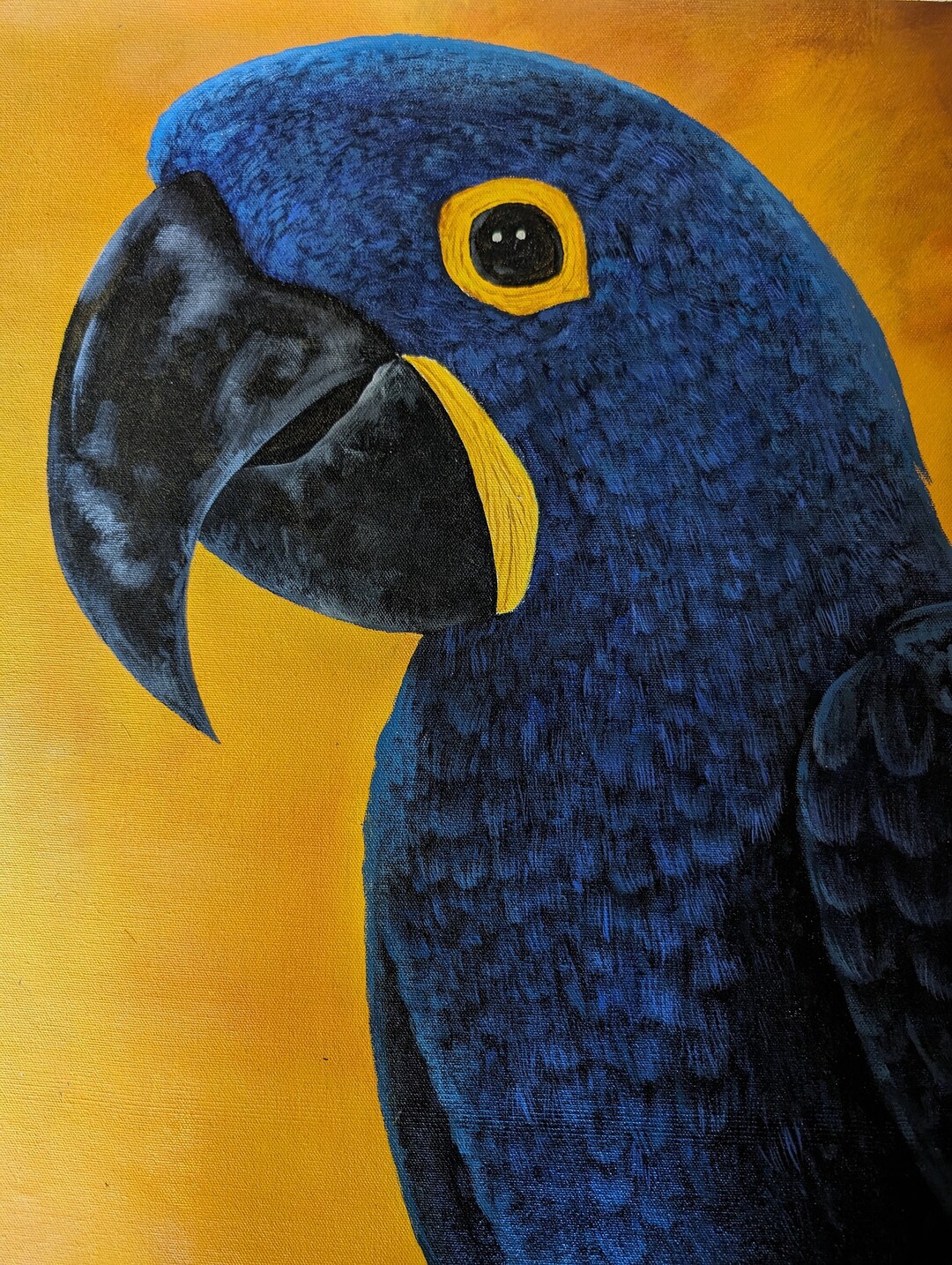 Blue Macaw, Acrylic Painting, 25.5'' X 20'' Original Painting, Canvas Cloth Art Work, Nature Art ...
