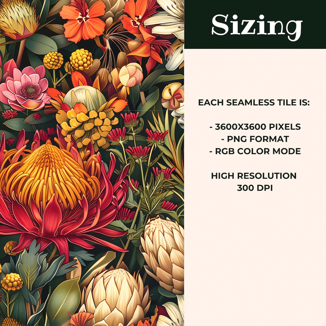 Australian Botanical Print Seamless Pattern Flowers Exotic Flowers ...