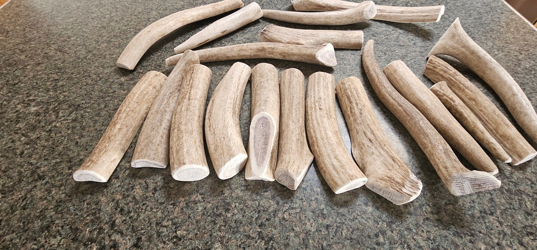 Prime Antler Dog Chews - Etsy