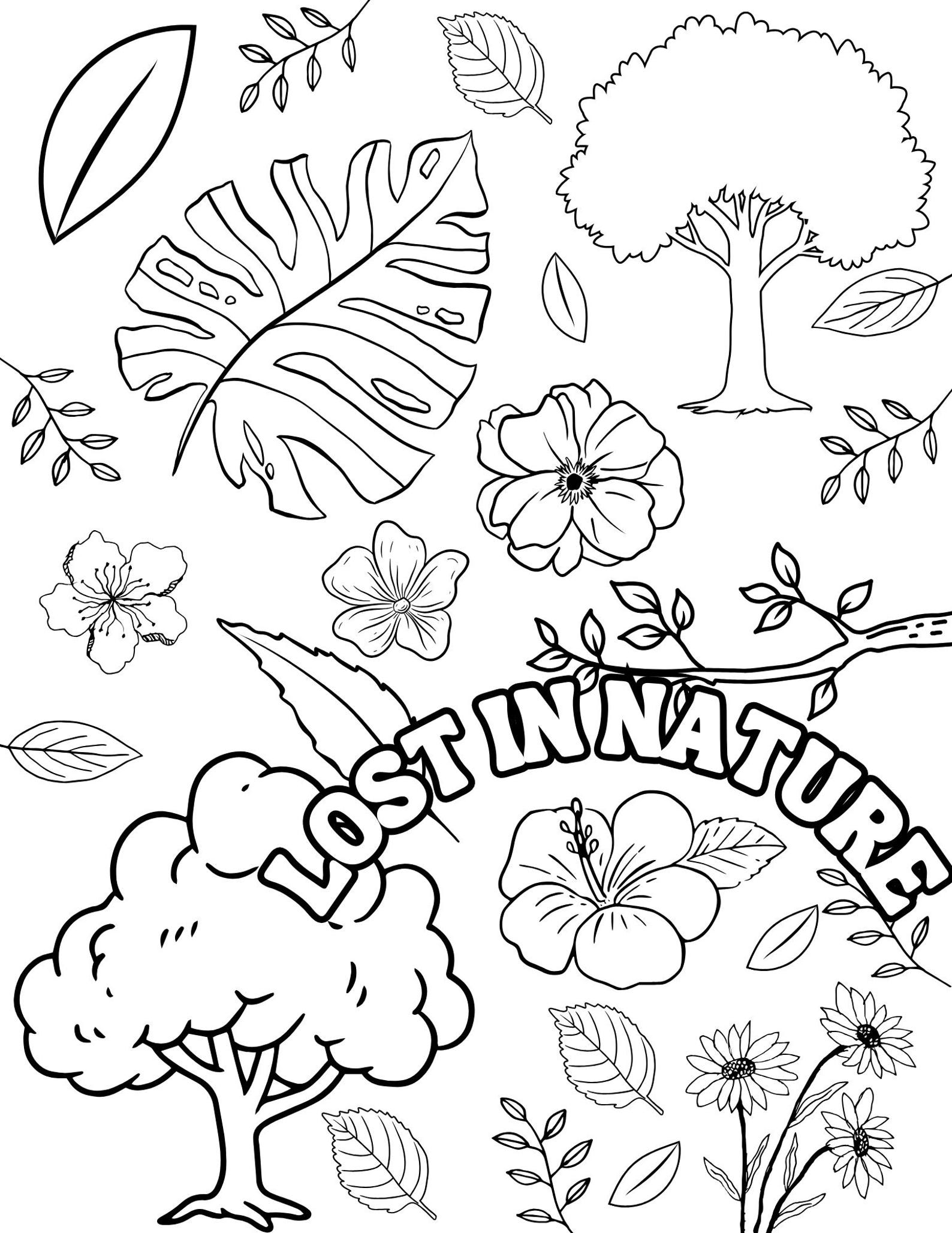 Nature Colouring Sheet - Etsy