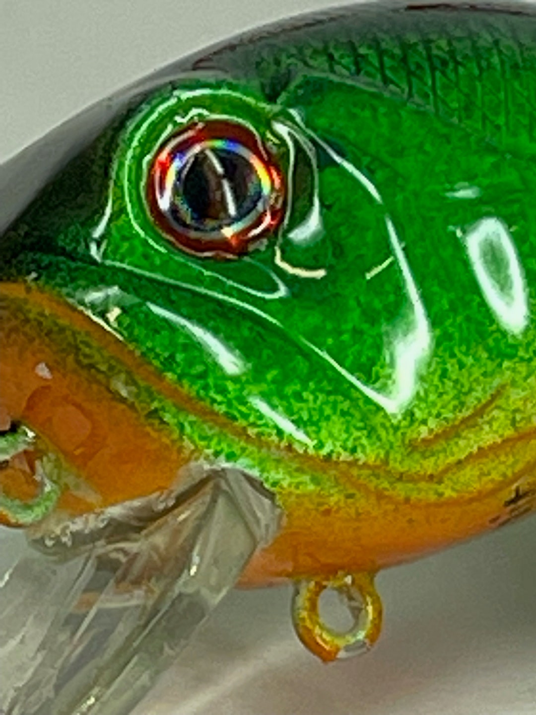 Tree Frog Fishing Lure Design - Etsy