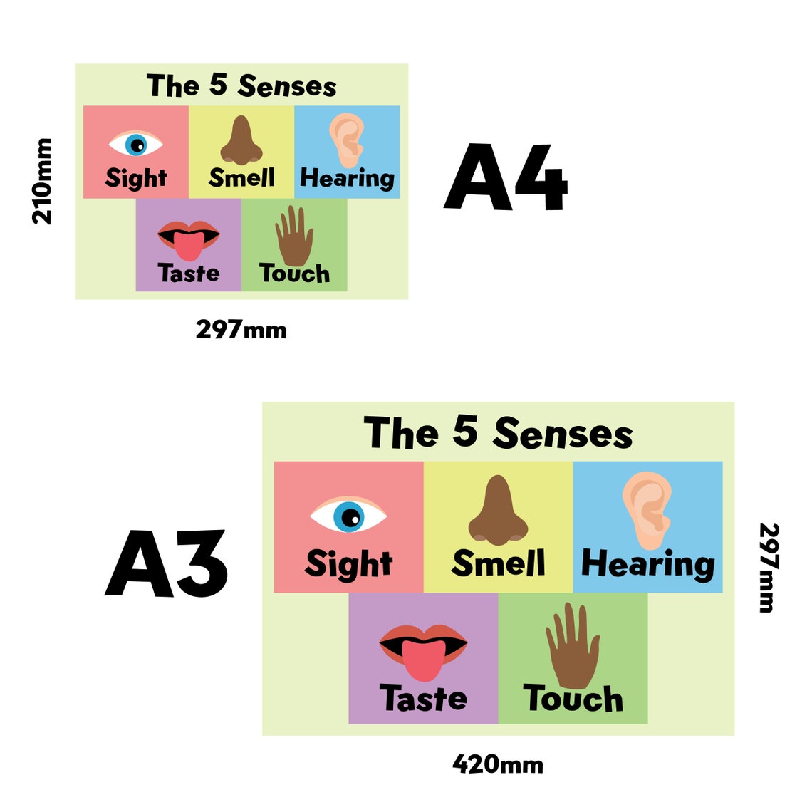 Children's 5 Senses Poster - Instant Download - Etsy